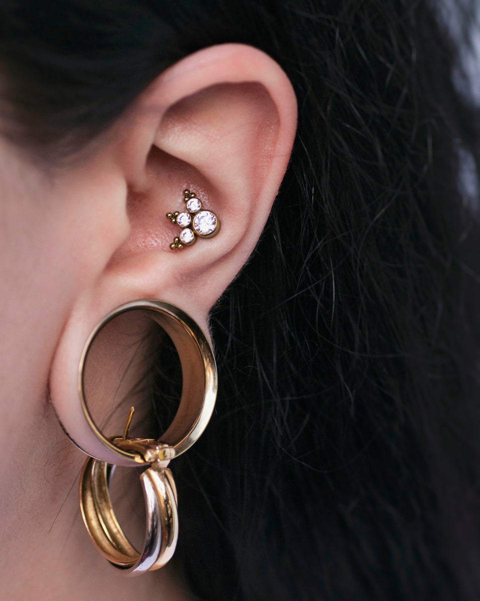 Ear Streching Collection – Luvnroll®